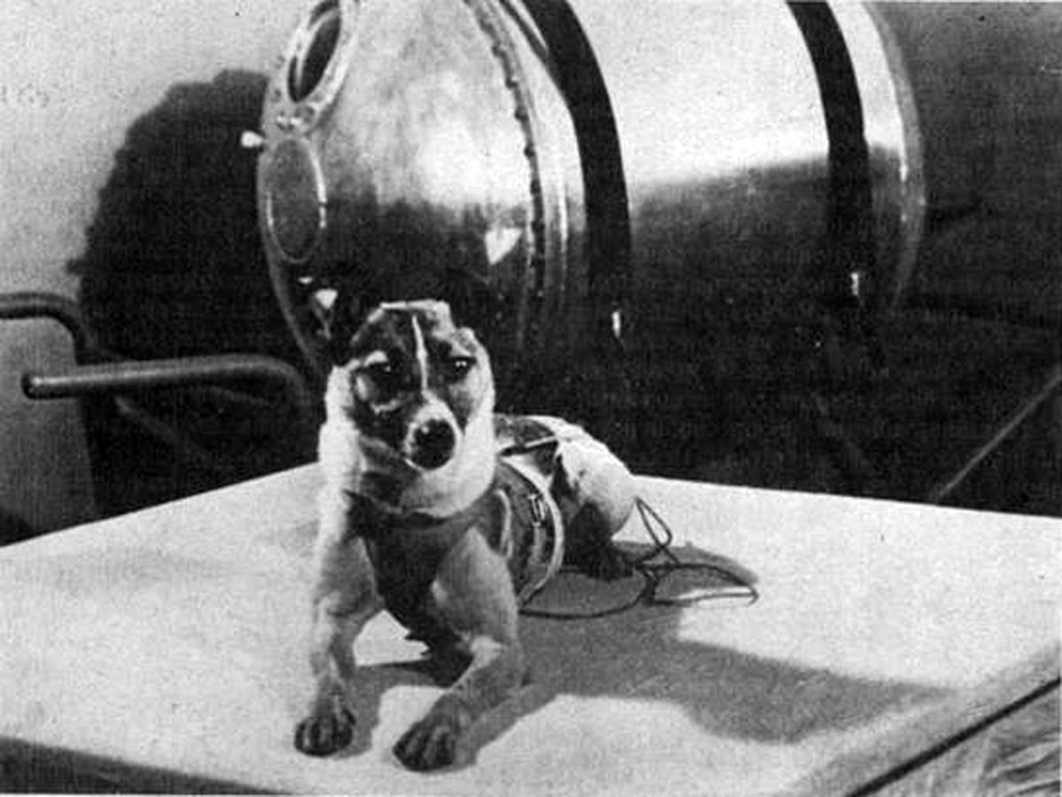 Laika: The 1st Communist Astronaut Dog in Space & Sputnik 2