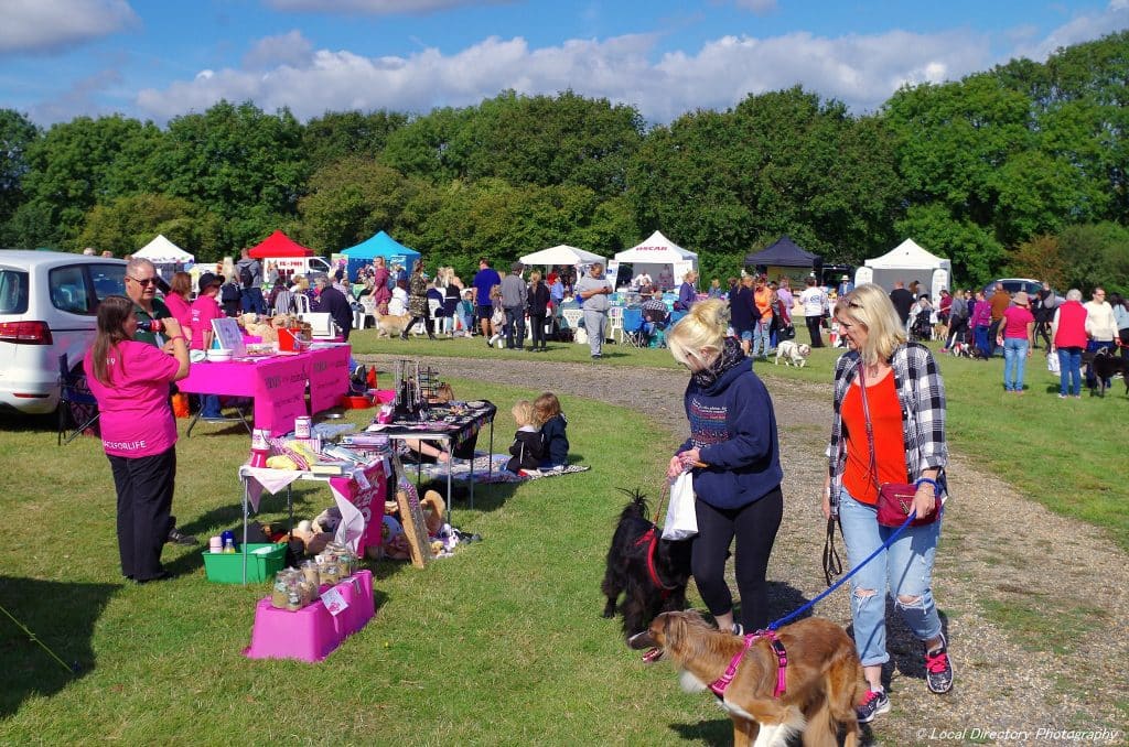 The Ultimate Dog Bucket List: 104 Fun Things to do With Your Dog