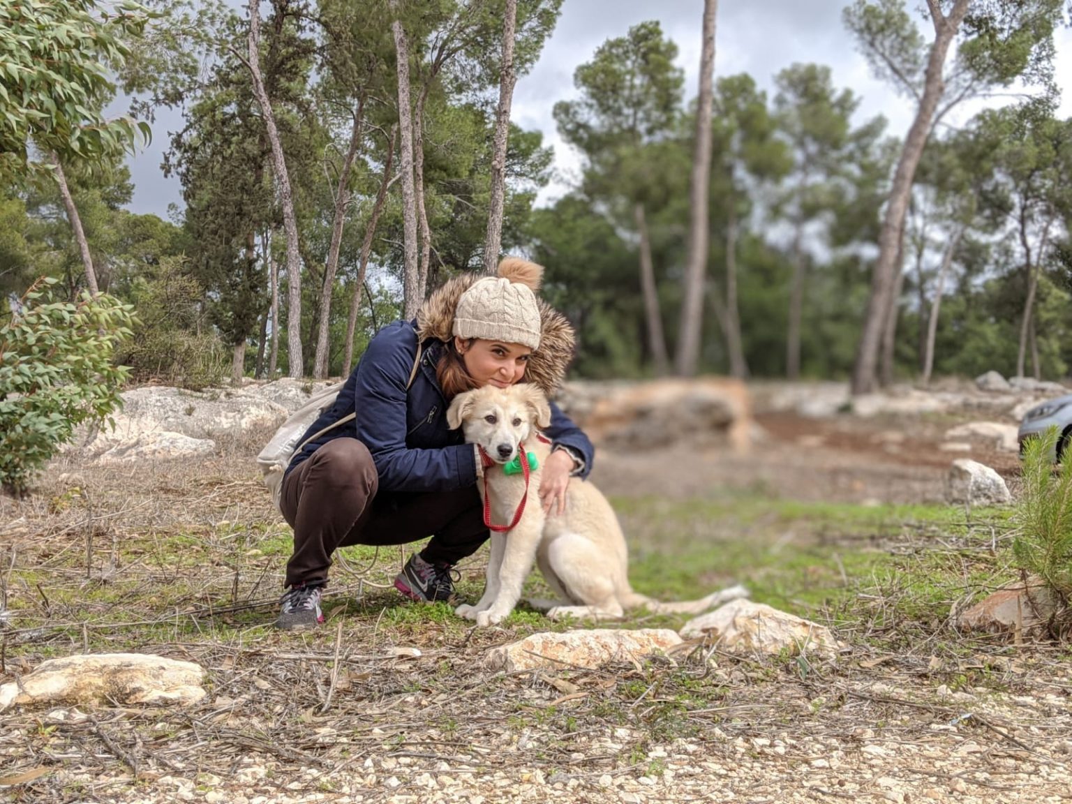 The Ultimate Dog Bucket List: 104 Fun Things to do With Your Dog