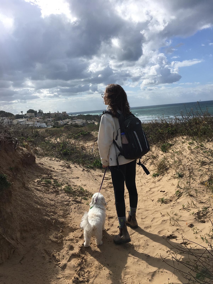 The Ultimate Dog Bucket List: 104 Fun Things to do With Your Dog