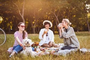 The Ultimate Dog Bucket List: 104 Fun Things to do With Your Dog