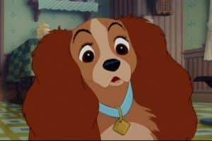 The Woof of Fame: 104 famous dogs that made us better