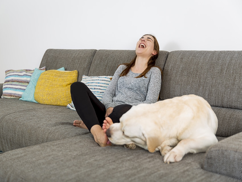 What fido tries to tell you? 100 Dog Behaviors you must know!