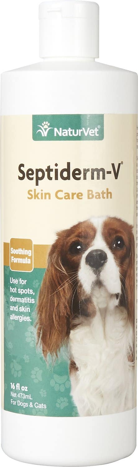 10 Best Hot Spot Shampoos For Dogs: We Asked A Vet