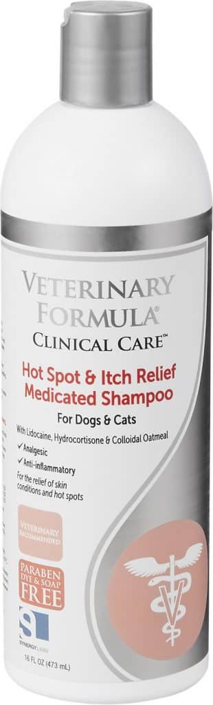 10 Best Hot Spot Shampoos For Dogs: We Asked A Vet