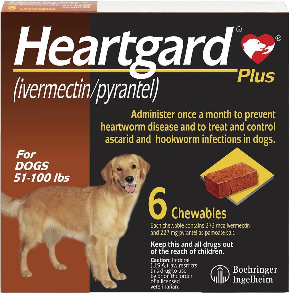 NexGard For Dogs Review: We Asked A Vet