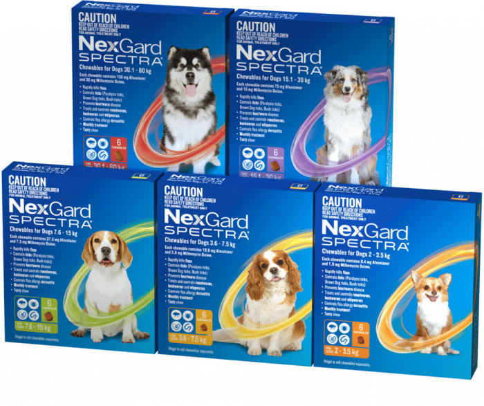 NexGard For Dogs Review: We Asked A Vet