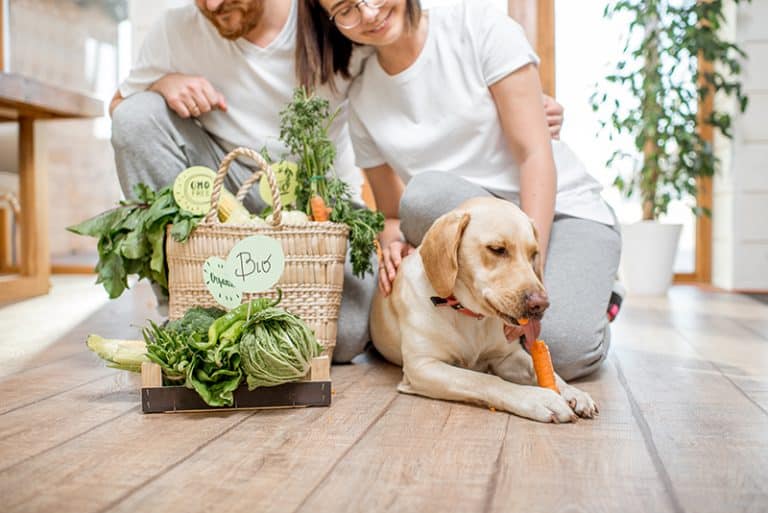 20 High Fiber Vet Recommended Fruits & Vegetables for Dogs