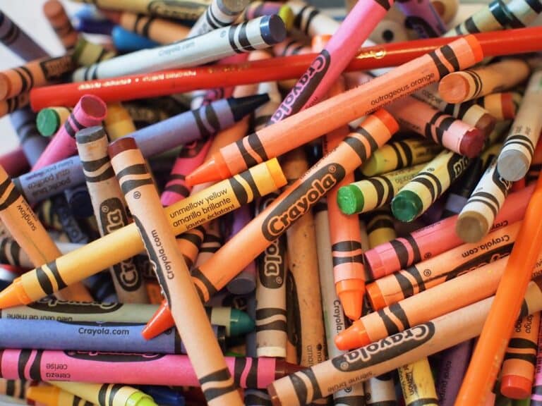 My dog ate a Crayon. What Should I do?