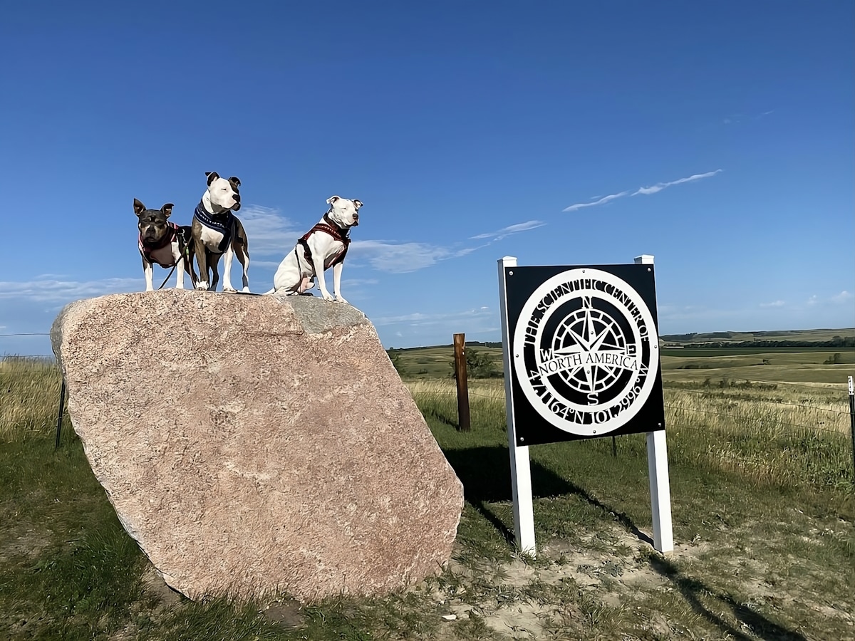 15 Best Dog-Friendly Vacation Destinations in Ohio