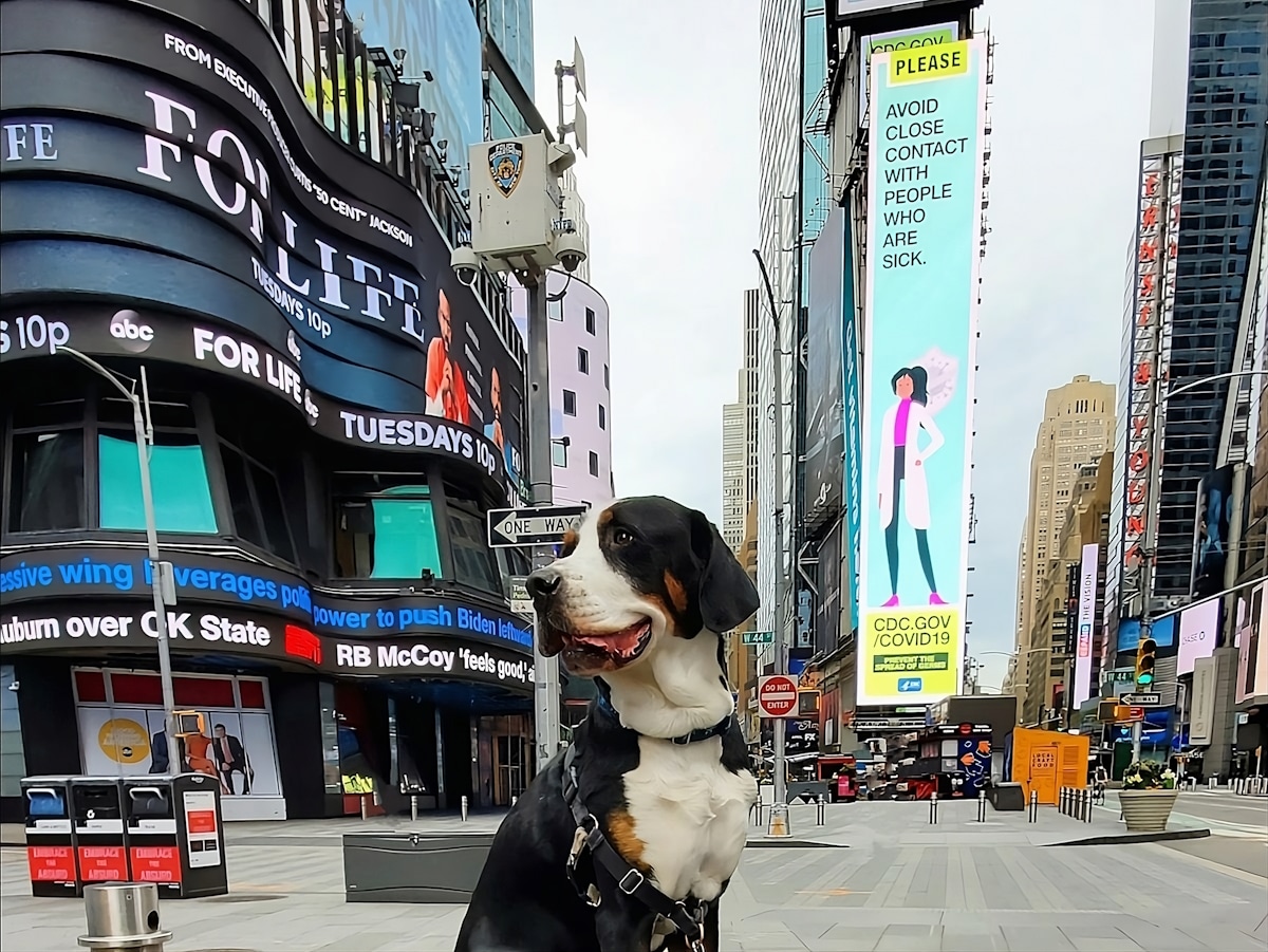 15 Best Dog-Friendly Vacation Destinations in New York