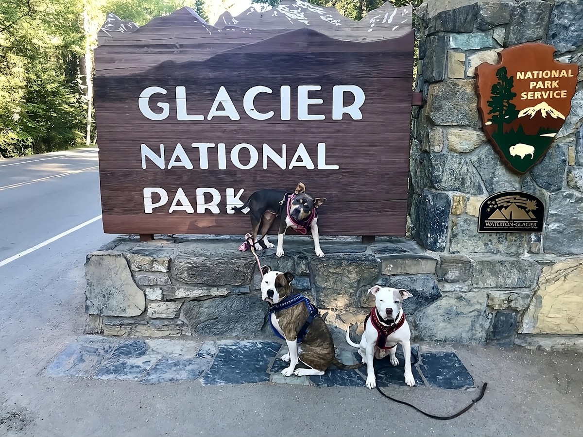 15 Best Dog-Friendly Vacation Destinations in Montana